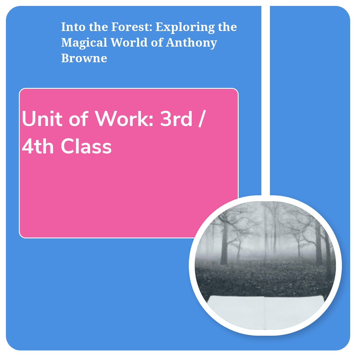 Unit of Work (3rd / 4th Class): Into the Forest: Exploring the Magical ...
