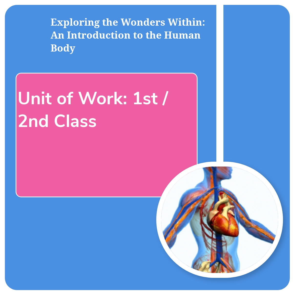 Unit of Work (1st / 2nd Class): Exploring the Wonders Within: An ...