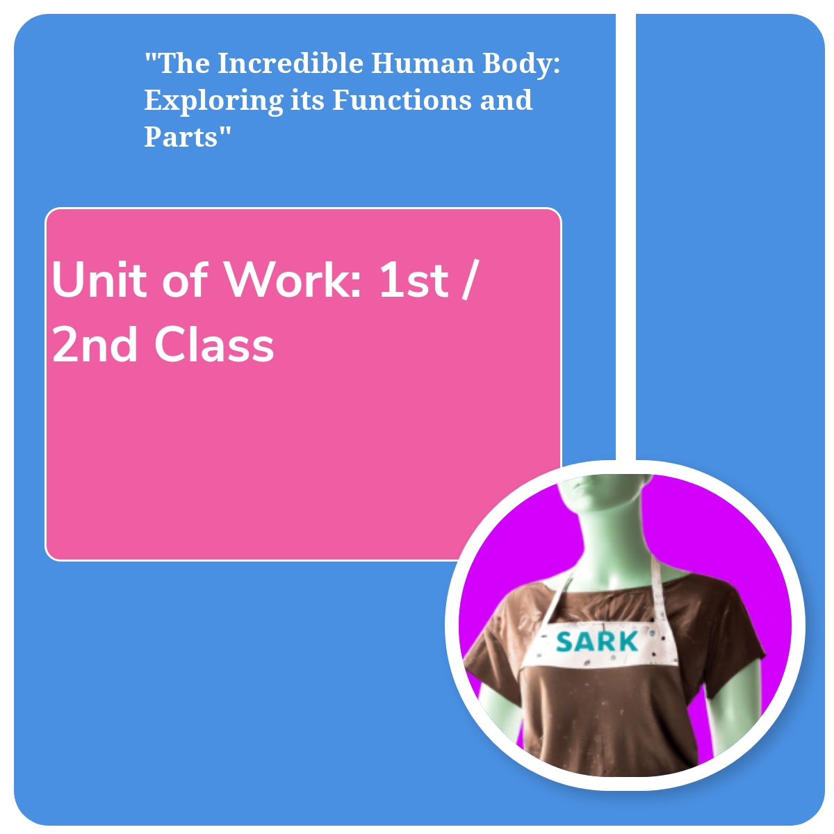 Unit of Work (1st / 2nd Class): "The Incredible Human Body: Exploring ...