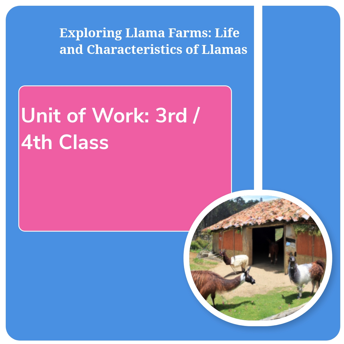 Unit of Work (3rd / 4th Class): Exploring Llama Farms: Life and ...