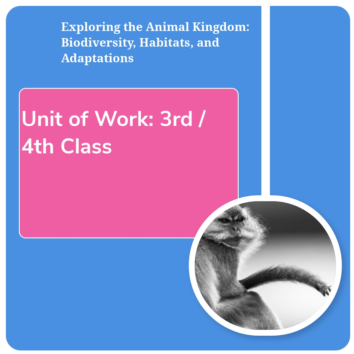 Unit of Work (3rd / 4th Class): Exploring the Animal Kingdom ...
