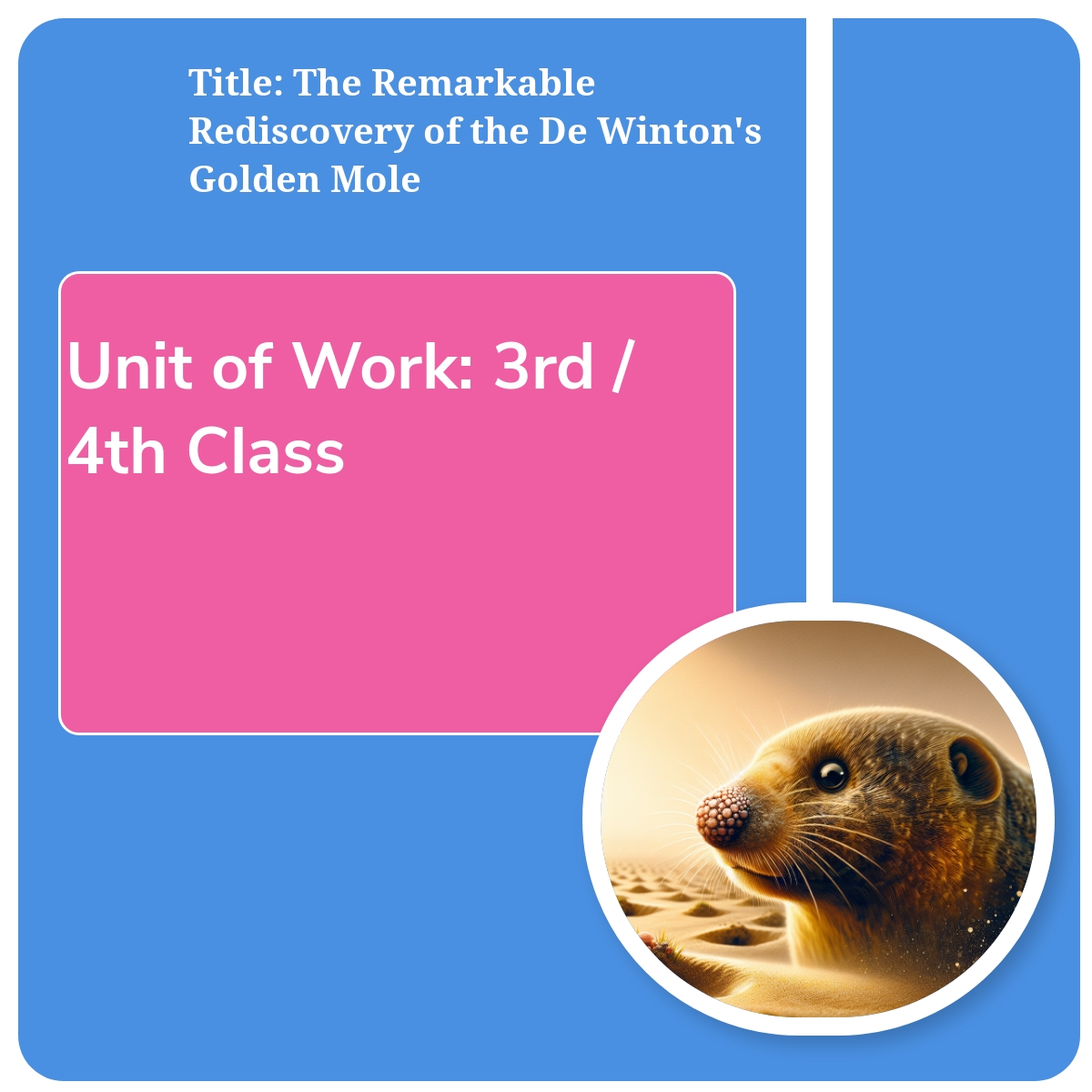 Unit of Work (3rd / 4th Class): Title: The Remarkable Rediscovery of ...