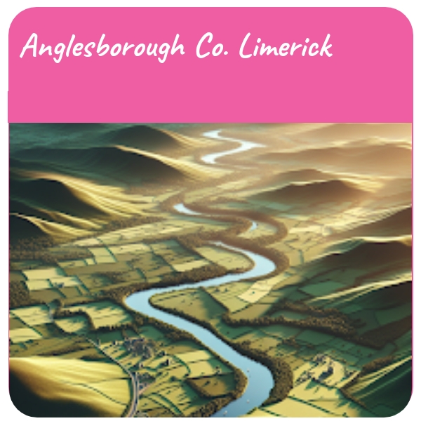 Anglesborough Co. Limerick - Mash.plus