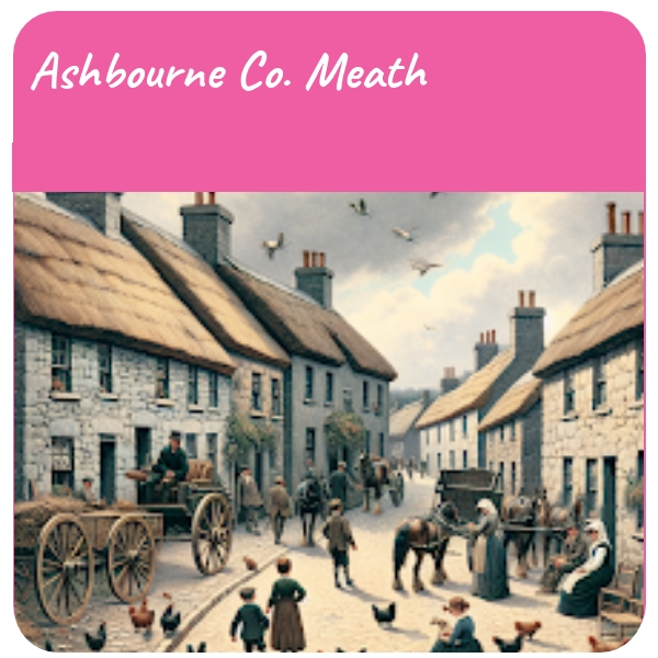 Ashbourne Co. Meath - Mash.plus