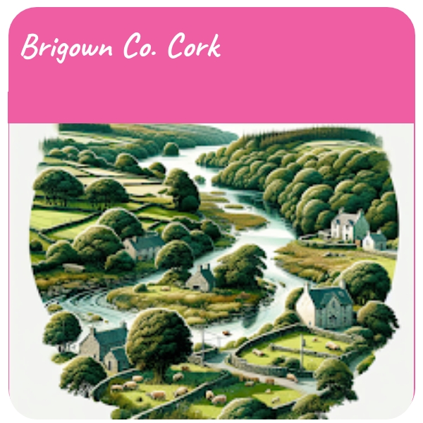 Brigown Co. Cork - Mash.plus
