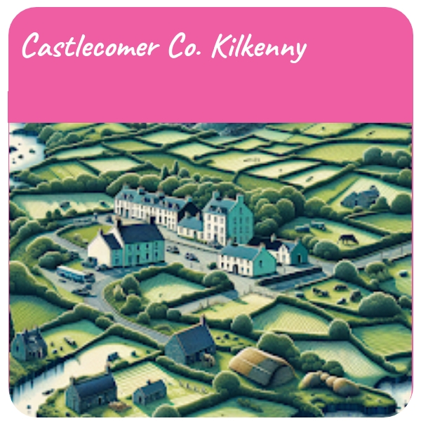 Castlecomer Co. Kilkenny - Mash.plus