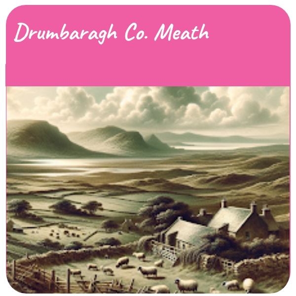 Drumbaragh Co. Meath - Mash.plus