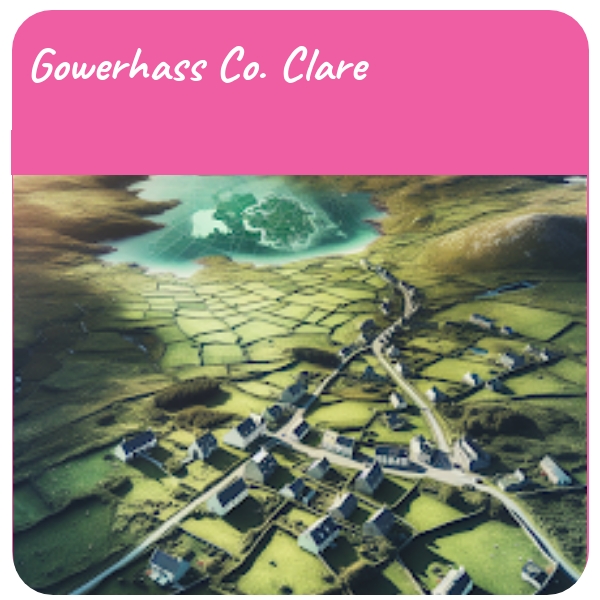 Gowerhass Co. Clare - Mash.plus