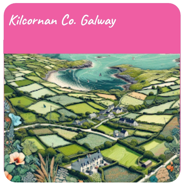 Kilcornan Co. Galway - Mash.plus