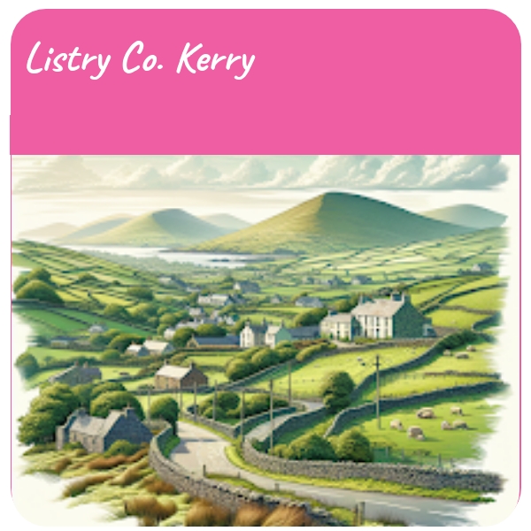Listry Co. Kerry - Mash.plus