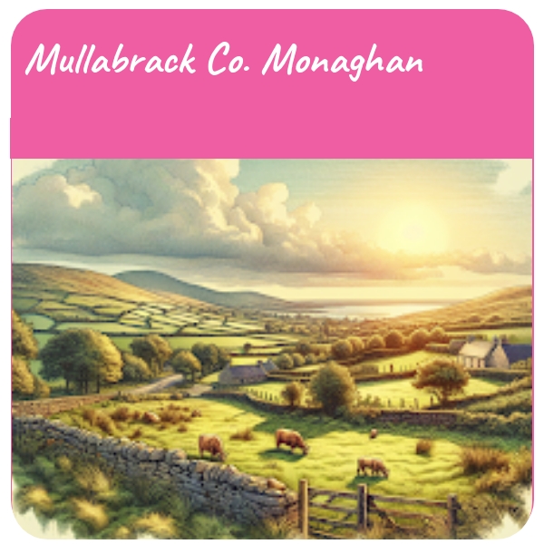 Mullabrack Co. Monaghan - Mash.plus
