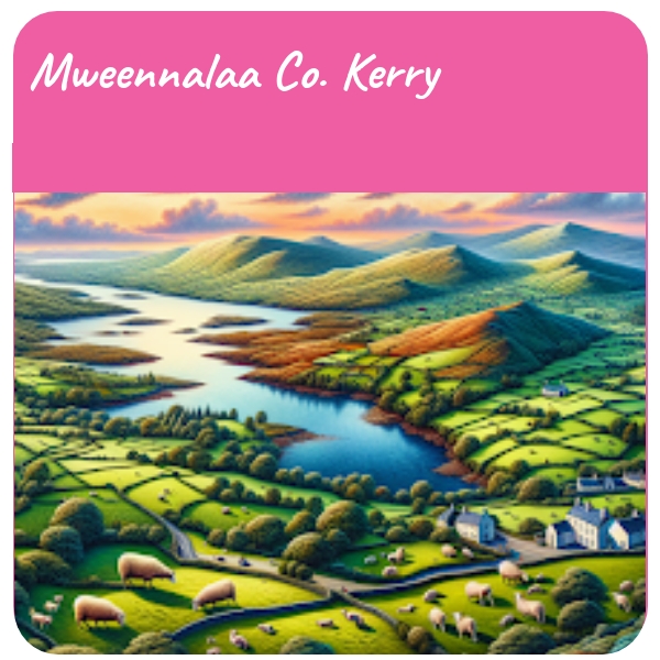 Mweennalaa Co. Kerry - Mash.plus