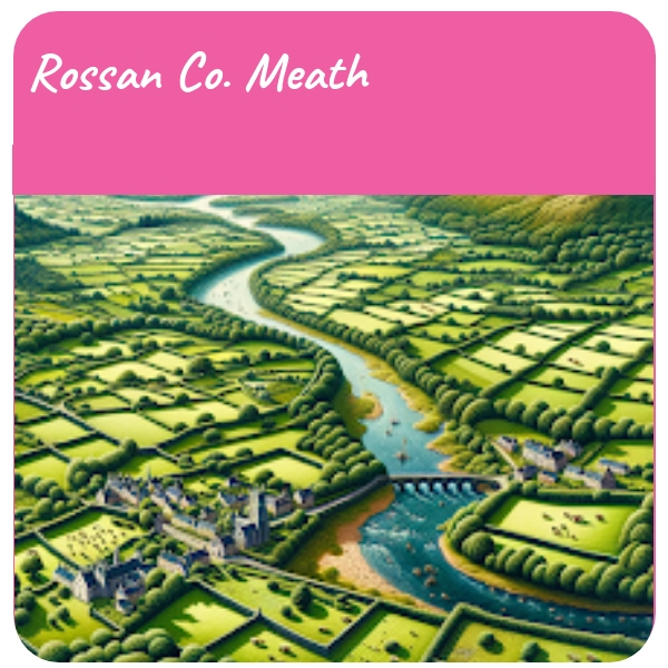 Rossan Co. Meath - Mash.plus