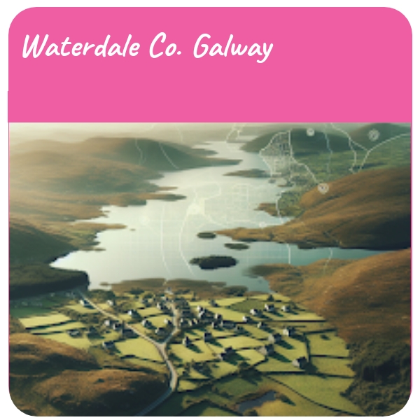 Waterdale Co. Galway - Mash.plus